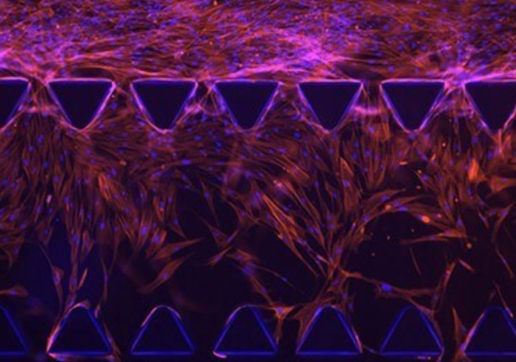 CollPlant introduces new Collins.3D bioink for 3D bioprinting applications