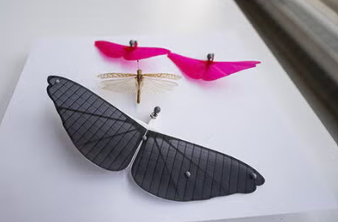 3D-printed insect wings provide new insights into energy-efficient ...